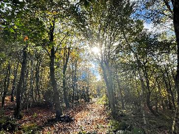 Congleton - BBC Weather