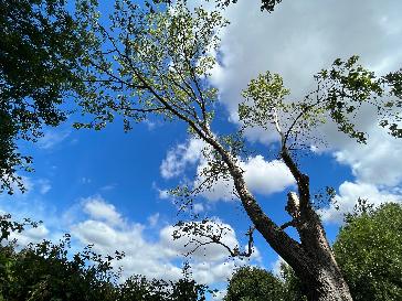 Pinner - BBC Weather