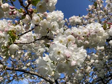 Worcester - BBC Weather
