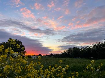 Bath - BBC Weather