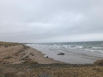 Girvan - BBC Weather