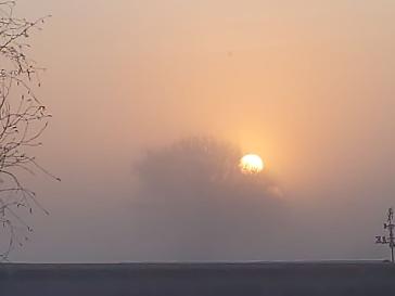 Watford - BBC Weather