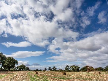 Wetherby - BBC Weather