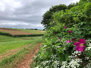 Exmouth - BBC Weather