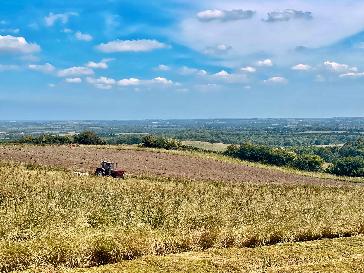 Bedford - BBC Weather