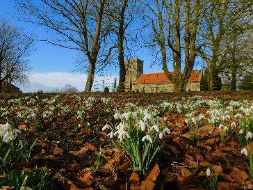 Immingham - BBC Weather