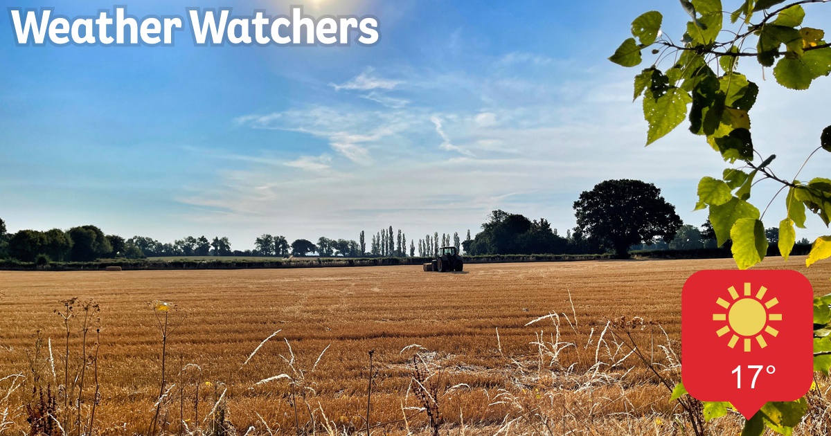 Report - BBC Weather Watchers