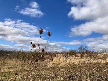 Worcester - BBC Weather