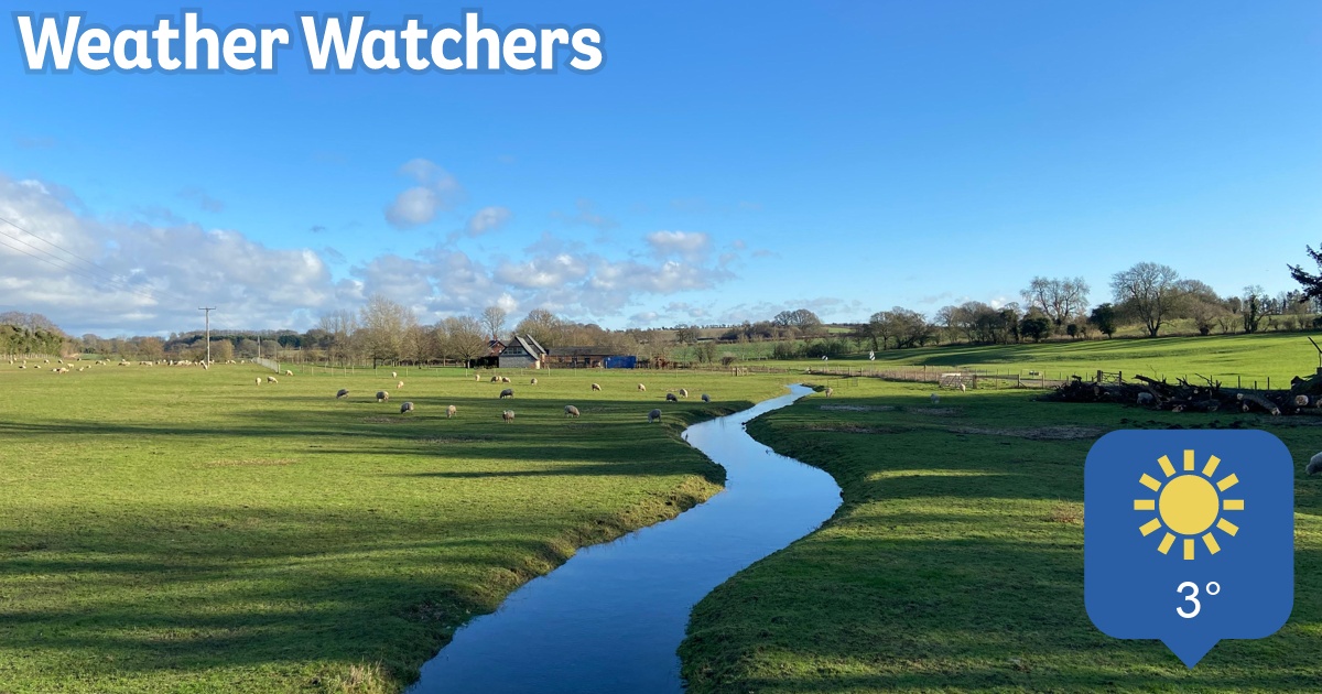 Report - BBC Weather Watchers