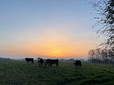Bath - BBC Weather