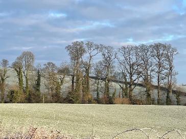 Warrenpoint - BBC Weather