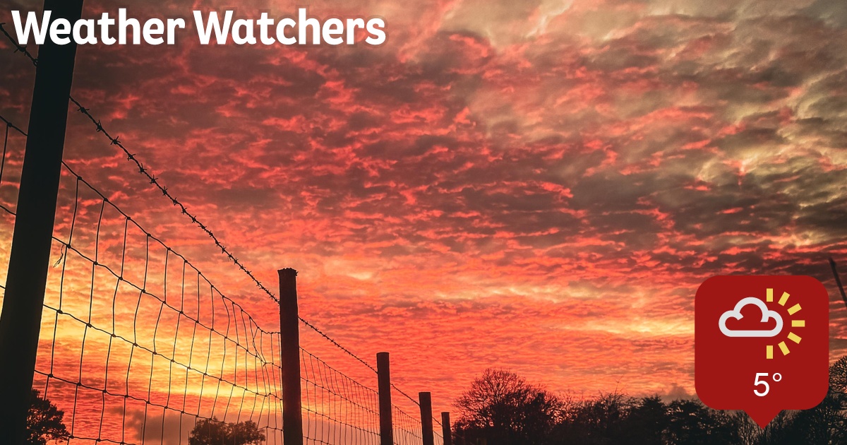 Report - BBC Weather Watchers