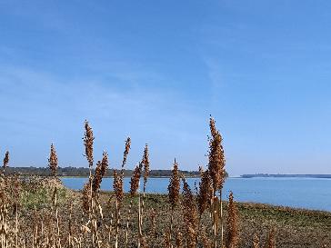 Basildon - BBC Weather