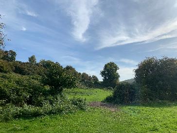 Newport - BBC Weather