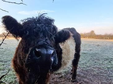 Beeston - BBC Weather