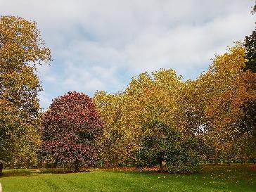 Harrow on the Hill - BBC Weather