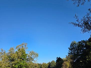 Widnes - BBC Weather