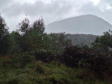 Warwick - BBC Weather