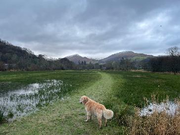 Carlisle - BBC Weather