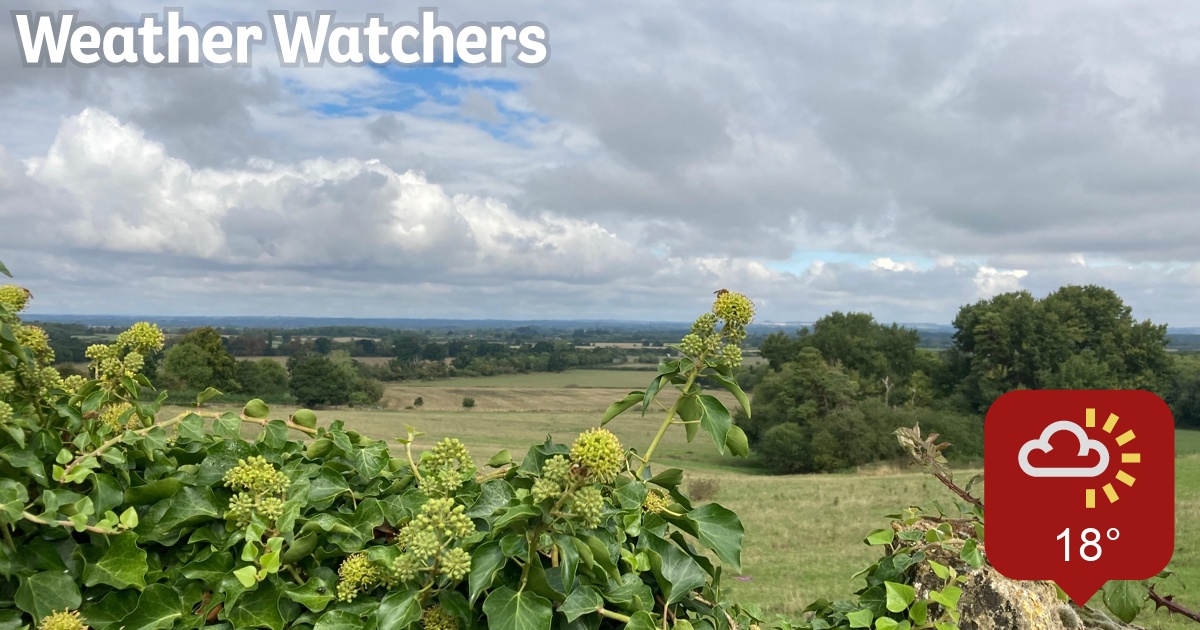Report - BBC Weather Watchers