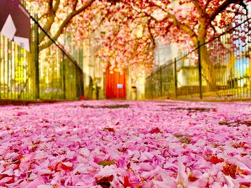 Norwich - BBC Weather