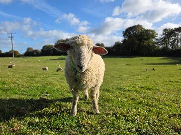 Basingstoke - BBC Weather