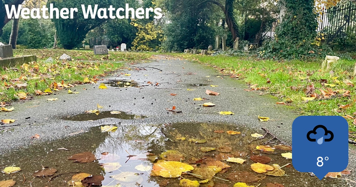 Report - BBC Weather Watchers