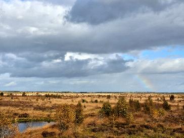 Buckley - BBC Weather