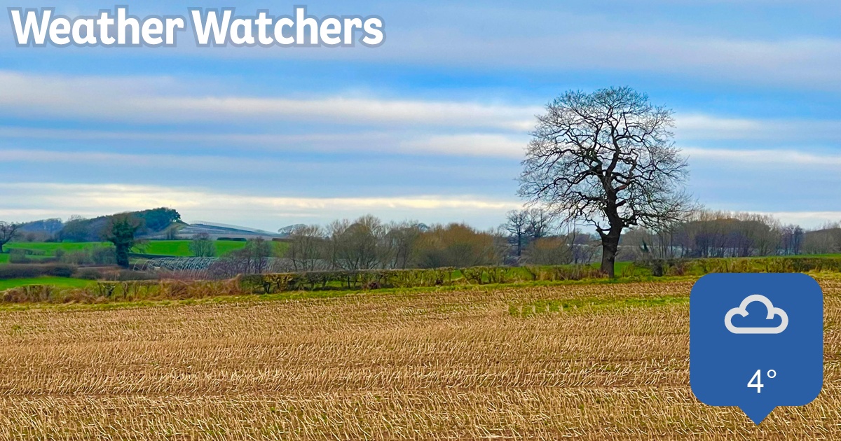Report - BBC Weather Watchers