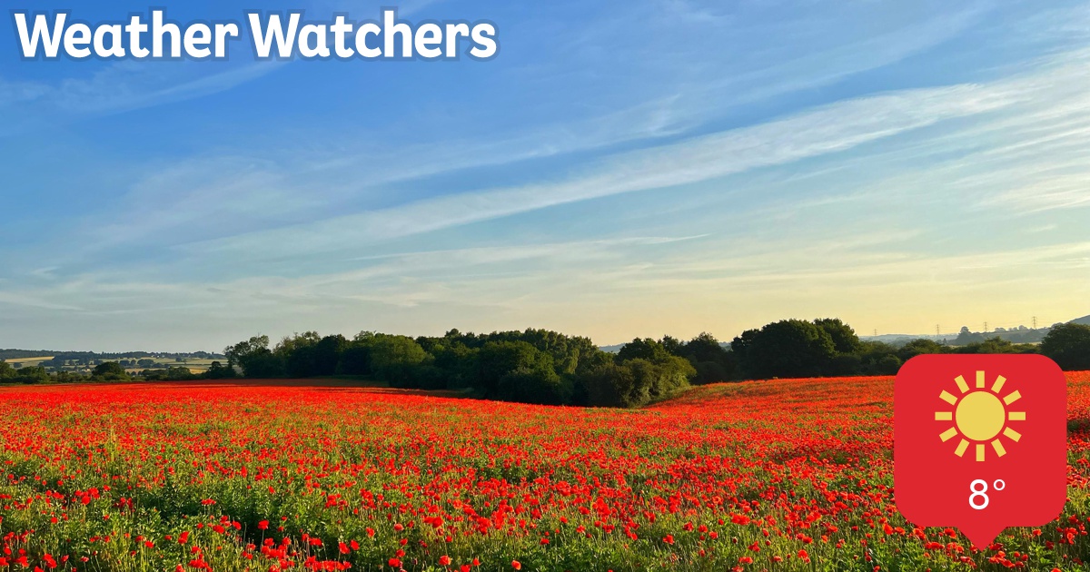 Report - BBC Weather Watchers