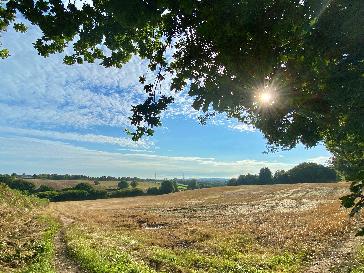 Solihull - BBC Weather