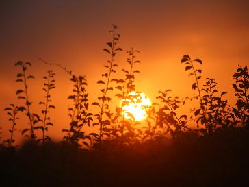 Cardiff - BBC Weather