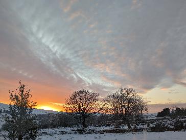Belfast - BBC Weather