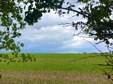 Witham - BBC Weather