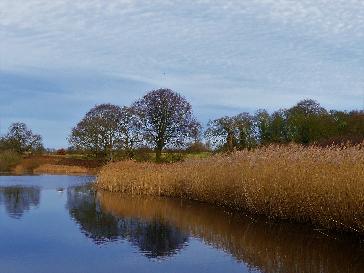 Ipswich - BBC Weather