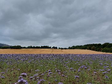 Dunfermline - BBC Weather