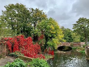 Maidstone - BBC Weather