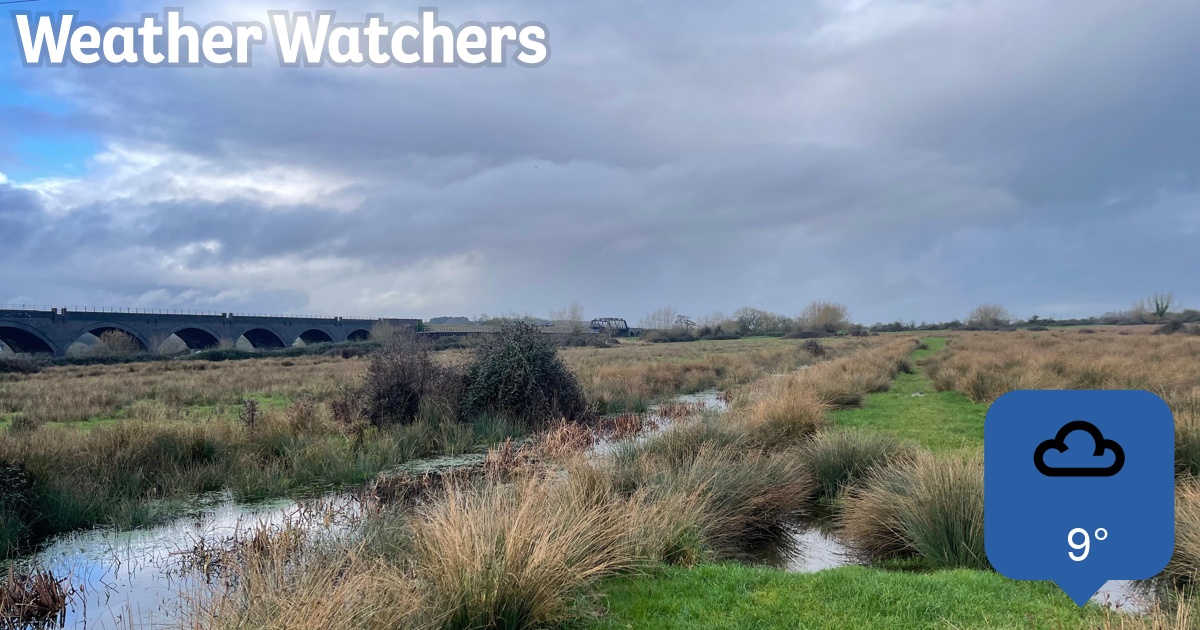 Report - BBC Weather Watchers