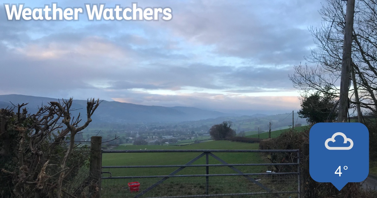 Report - BBC Weather Watchers