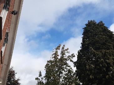 Crawley - BBC Weather