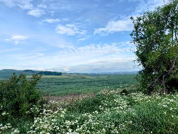 Warminster - BBC Weather