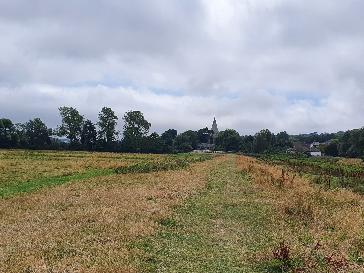 Crawley - BBC Weather