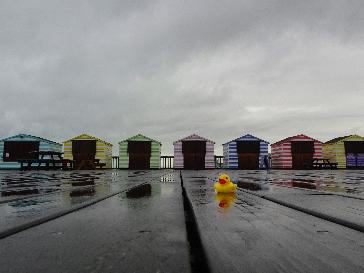Eastbourne - BBC Weather
