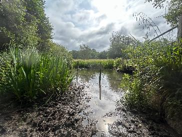 Basingstoke - BBC Weather
