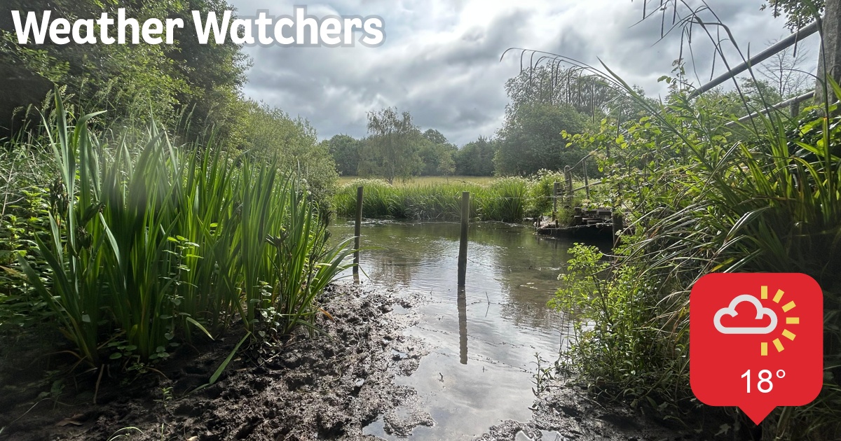 Report - BBC Weather Watchers