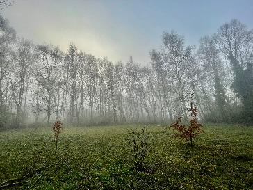 Nottingham - BBC Weather