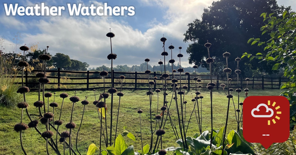 Report - BBC Weather Watchers