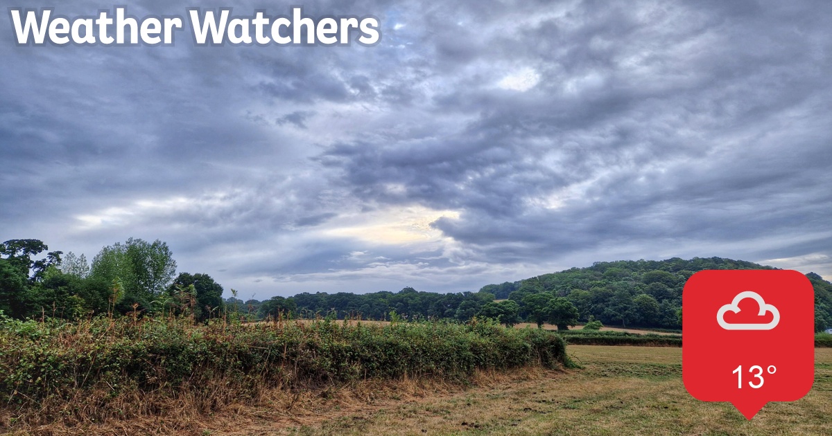 Report - BBC Weather Watchers