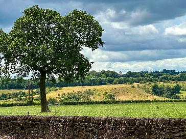 Biddulph - BBC Weather