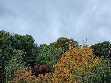 Moniaive - BBC Weather